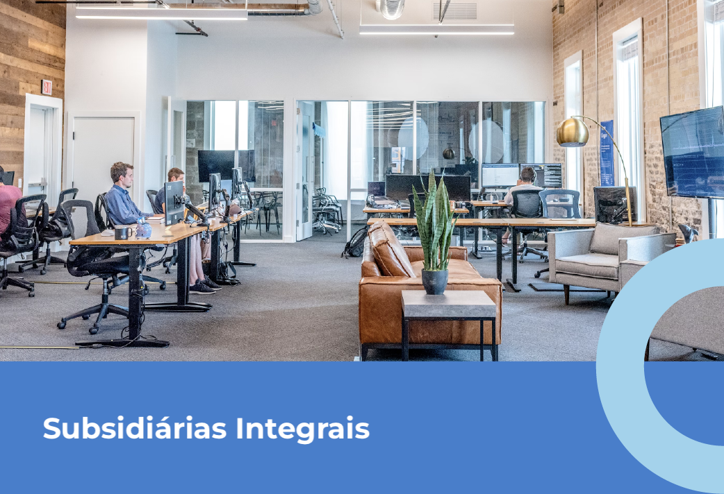 O Melhor Guia para Subsidiárias Integrais e 7 Fatos Importantes
